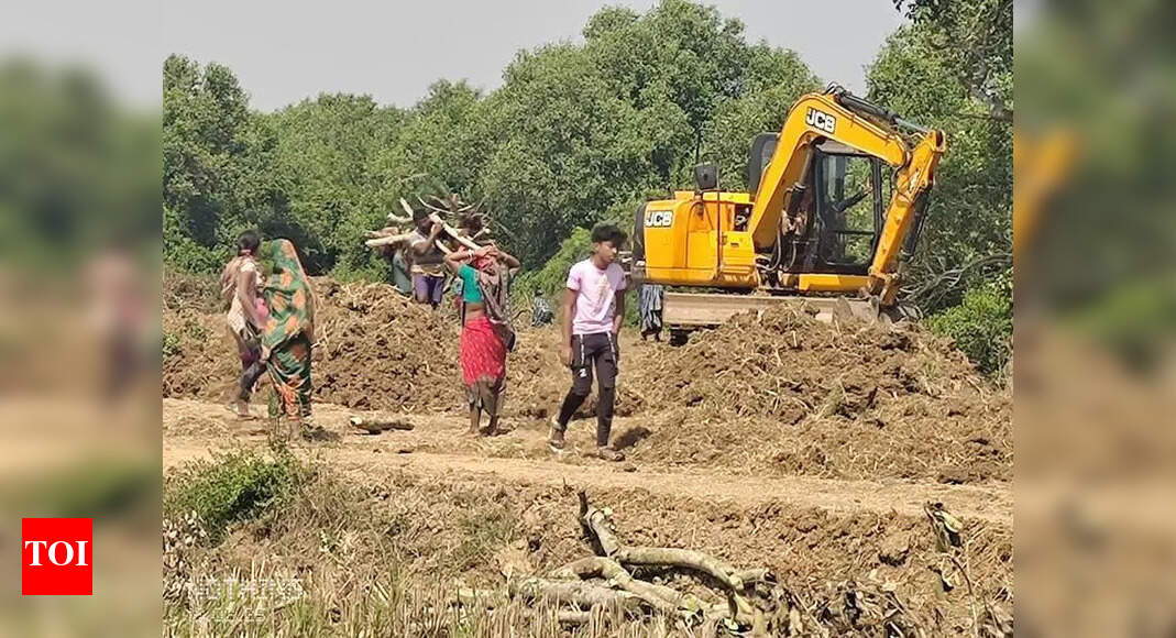 Forest dept halts irrigation staff from cutting down trees for road ...