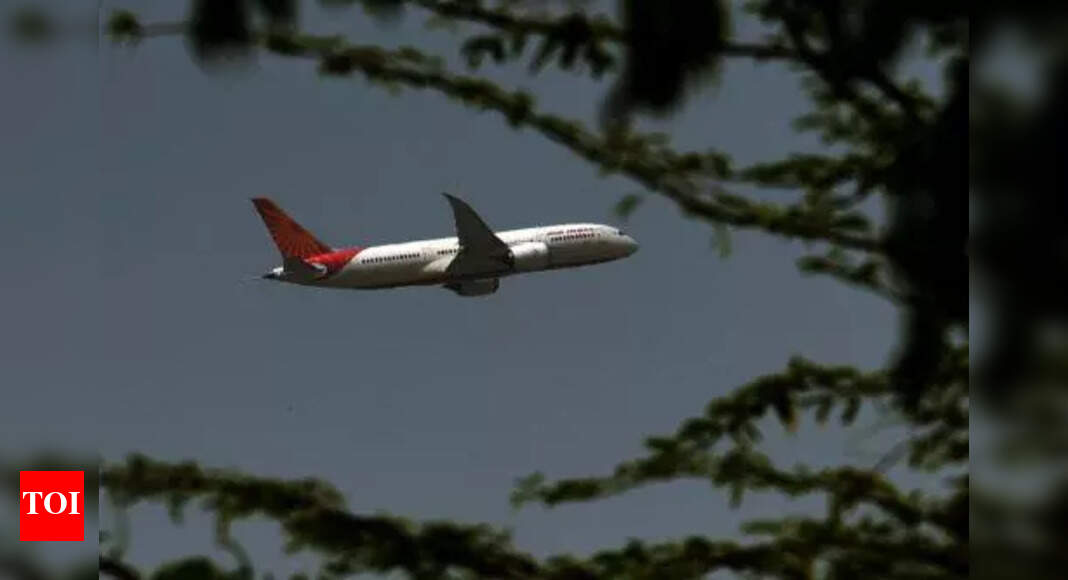 Plan for greenfield airport at Paradip to expand aviation map ...