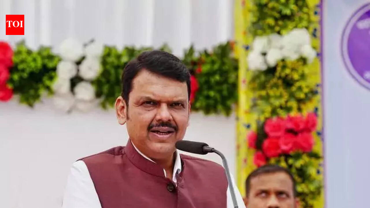 'There's limit to free speech': Fadnavis orders action against ...