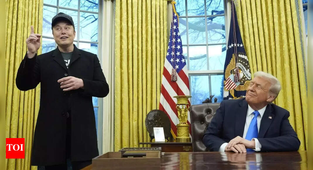 Elon Musk announces his love for US President Donald Trump again - The ...