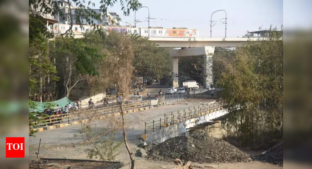 Ambazari bridge to open for public on April 1: Govt to HC | Nagpur News ...