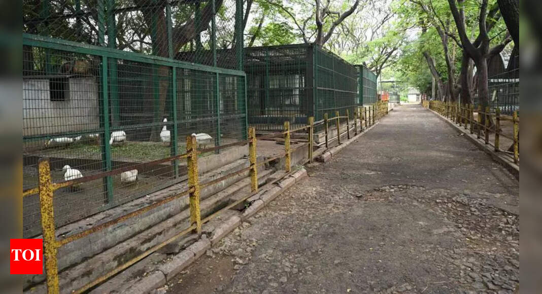 Aviary to come up at VOC zoo site in Coimbatore | Coimbatore News - The ...