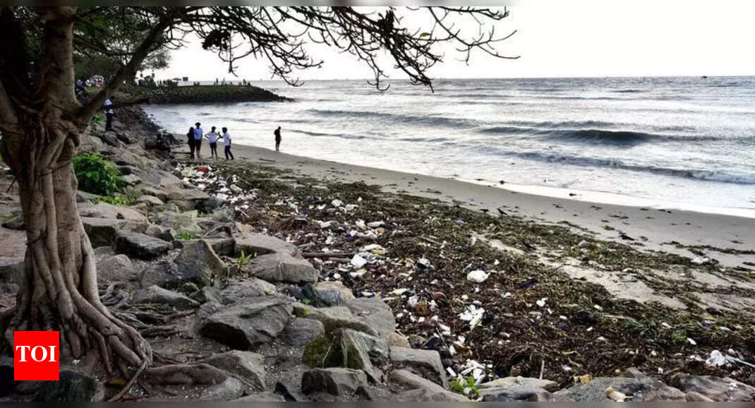 Garbage issue still persists at Fort Kochi beach area | Kochi News ...