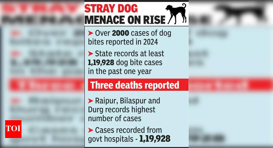 6-year-old severely injured after being attacked by stray dogs | Raipur ...