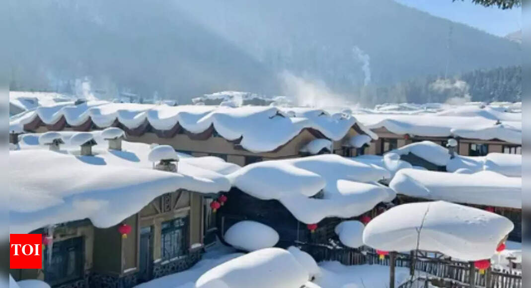 Chengdu Snow Village in China apologises for using fake cotton 'snow ...