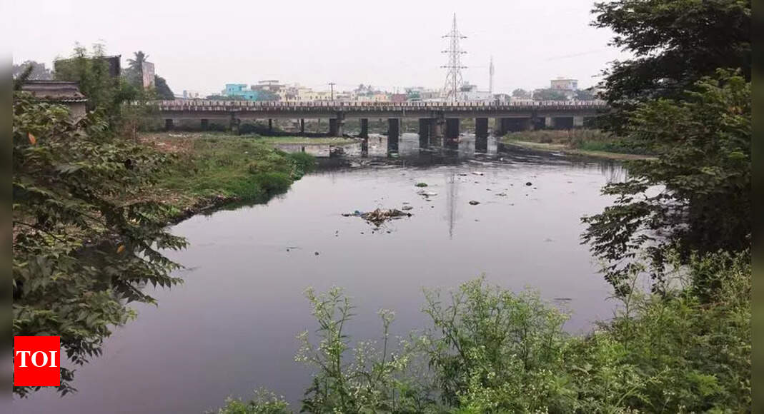 Govt plans rejuvenation of Gangua Nulla inspired by Jaipur’s Amanishah ...