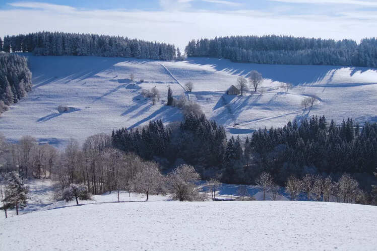 Cold Countries: These 5 countries have winter when others have summer ...