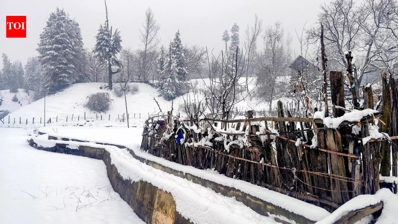 Fresh snowfall in Jammu and Kashmir delights tourists, boosts local ...