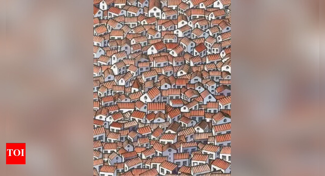 Optical illusion: Only a true animal lover can spot the hidden cat in 8 ...