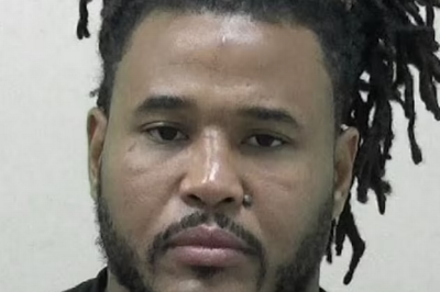 “Everyone is scared”: Former boxer Alexander Warren’s dogs create panic ...