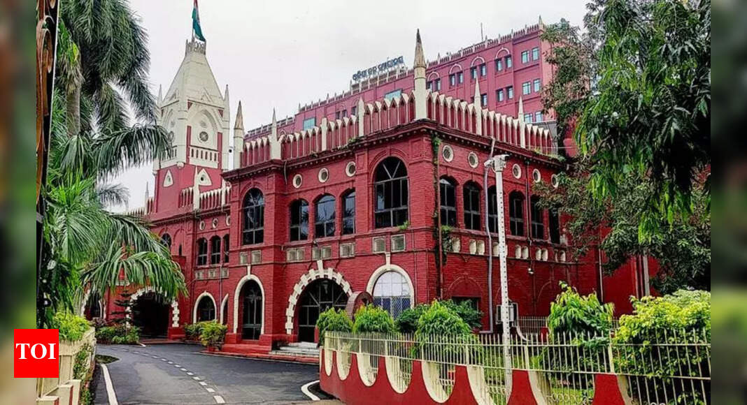 HC seeks MKCG opinion on terminating minor rape survivor’s over 24-week ...