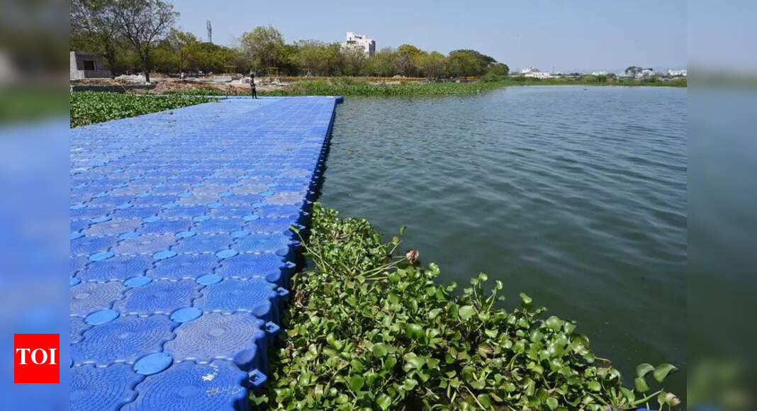 Work begins for floating jetty in Vandiyur tank | Madurai News - The ...