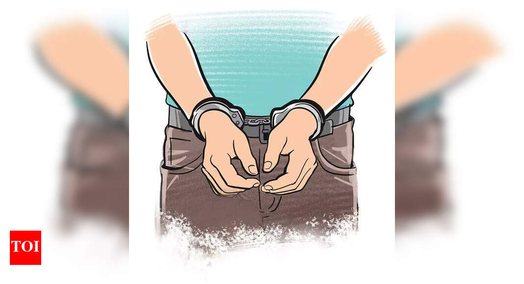 Indore man arrested in Prayagraj for thefts | Indore News - The Times ...