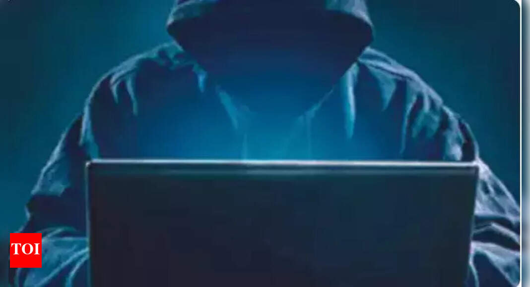 Cybercons create fake govt portal to defraud applicants | Lucknow News ...