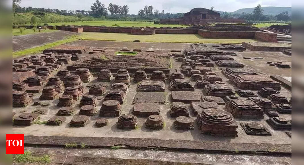 Vikramshila Central Univ to become a reality | Patna News - Times of India