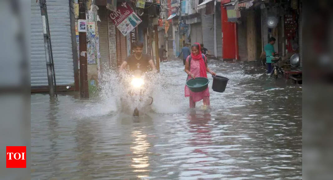4 US Nagar cities to get new drainage system for flood relief ...