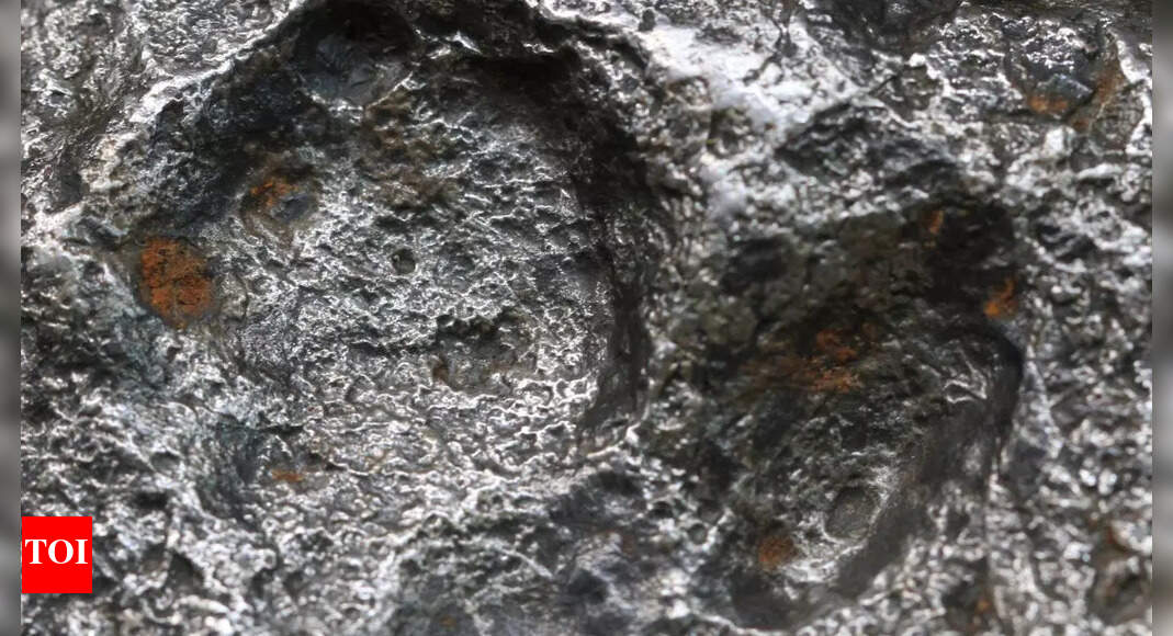 2,700-year-old jewelry crafted from meteorites links Earth and stars ...