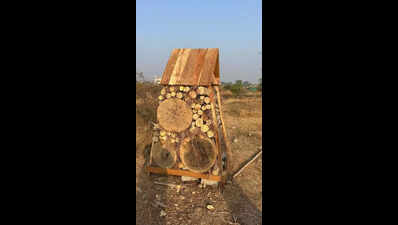Tiny insect homes for big biodiversity gains | Jaipur News - The Times ...