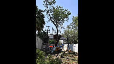 This ACP’s unofficial beat includes saving trees too! | Hyderabad News ...