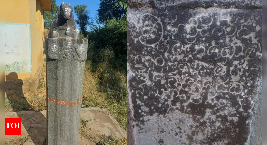 Garuda Nandi Pillar: 13th-century ‘Garuda-Nandi’ pillar found in ...