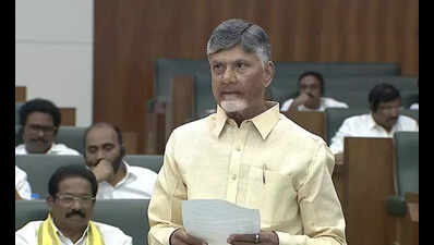 Andhra Pradesh chief minister Chandrababu Naidu pledges to fulfil all election promises ...