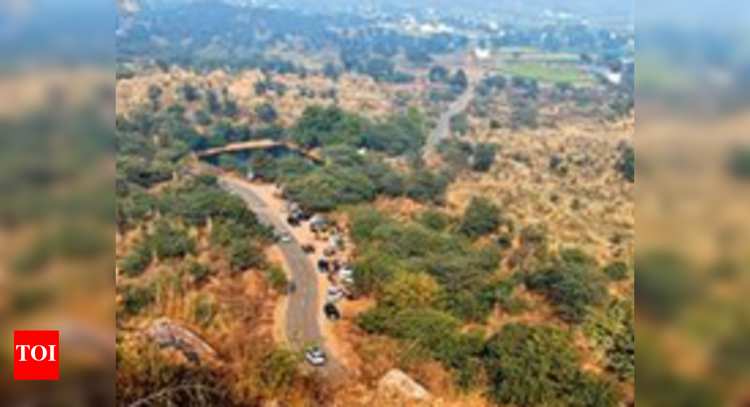 Green light for 400 acres to be added to Aravali zoo safari | Gurgaon ...