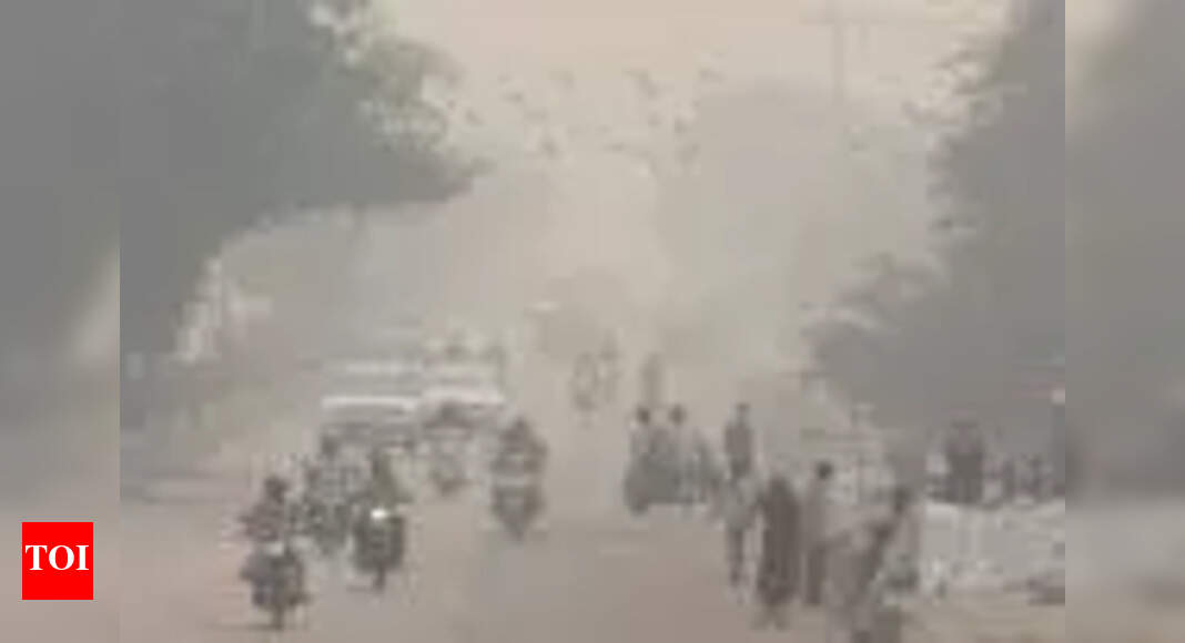 Ground-level ozone on rise, experts call for urgent action | Delhi News ...