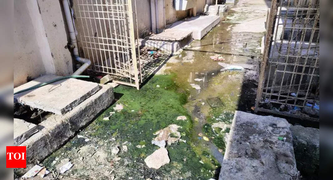 Trichy GH’s maternal ward premises a stinking zone | Trichy News - The ...