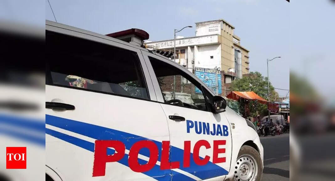 Punjab Police file FIR against journalist after complaint by AAP MLA’s ...