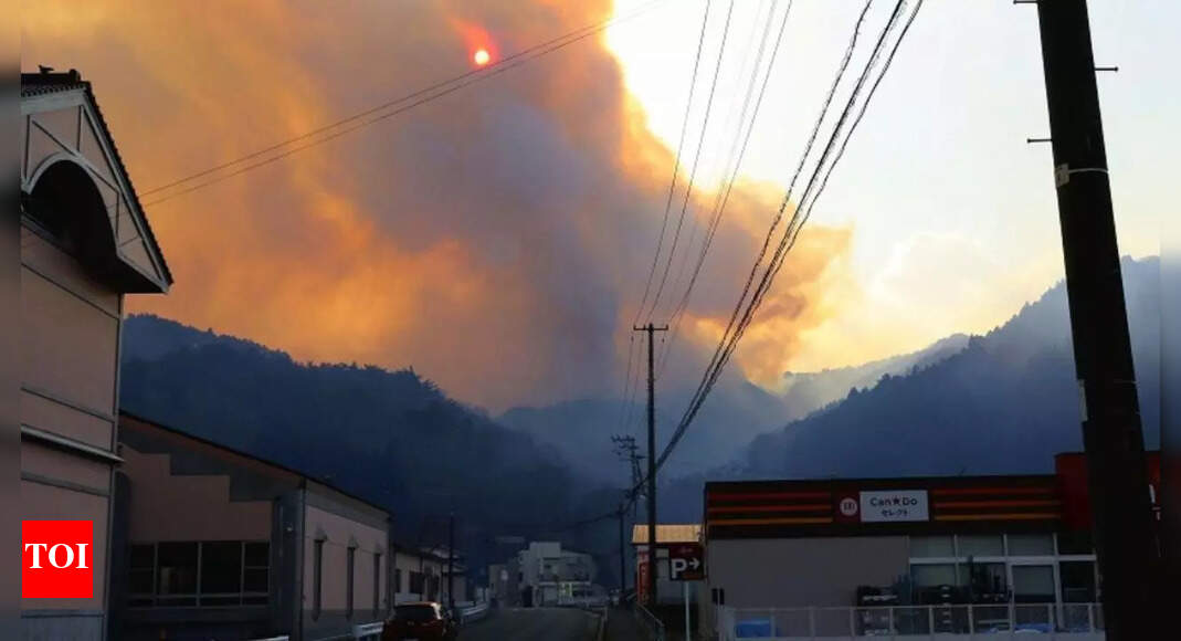 Japan forest fire burns buildings, prompts evacuations | World News ...