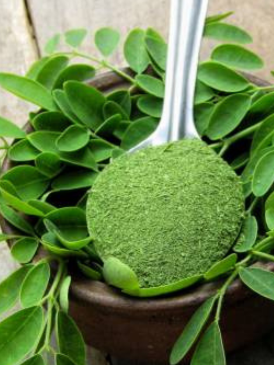 10 dishes made with Moringa that are good for weight loss | Times of India