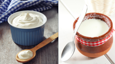 Greek Yogurt vs. Curd: Which one is healthier? | - The Times of India