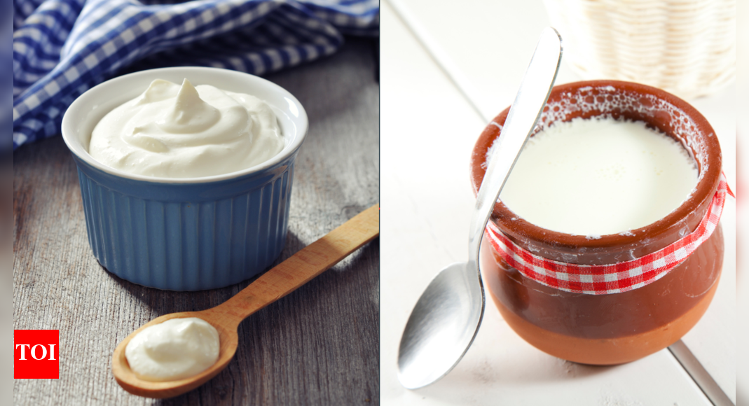 Greek Yogurt vs. Curd: Which one is healthier? | - The Times of India