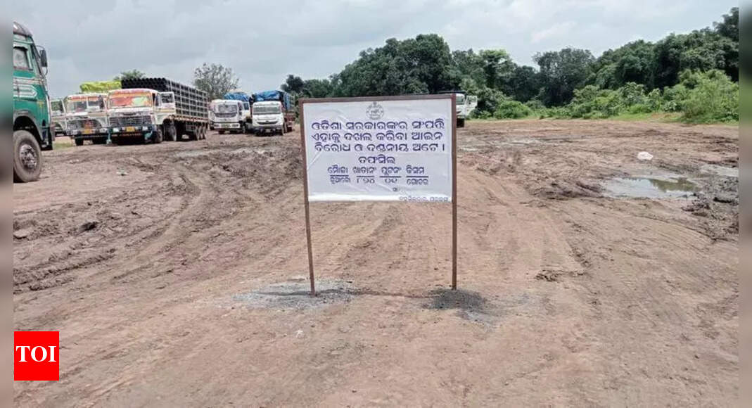 NGT panel to probe forest land encroachment plaint | Bhubaneswar News ...