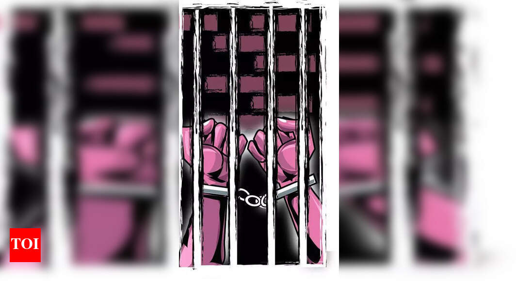 Woman who alleged kidnap & rape in car held for false complaint | Noida ...
