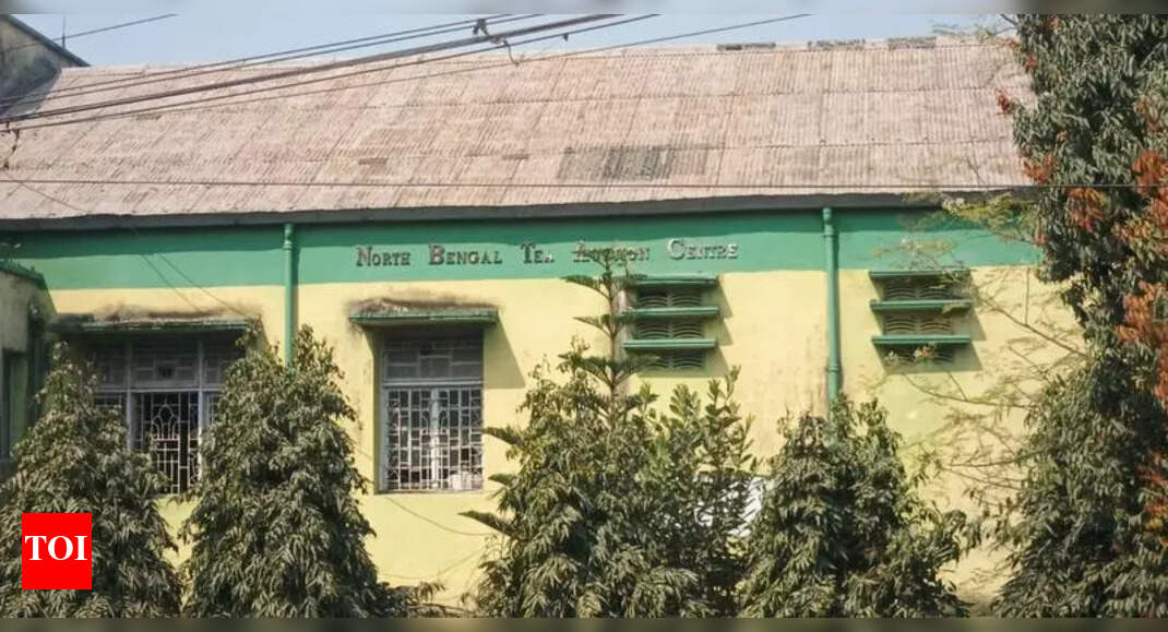 Jalpaiguri tea auction centre set to reopen after a decade | Kolkata ...