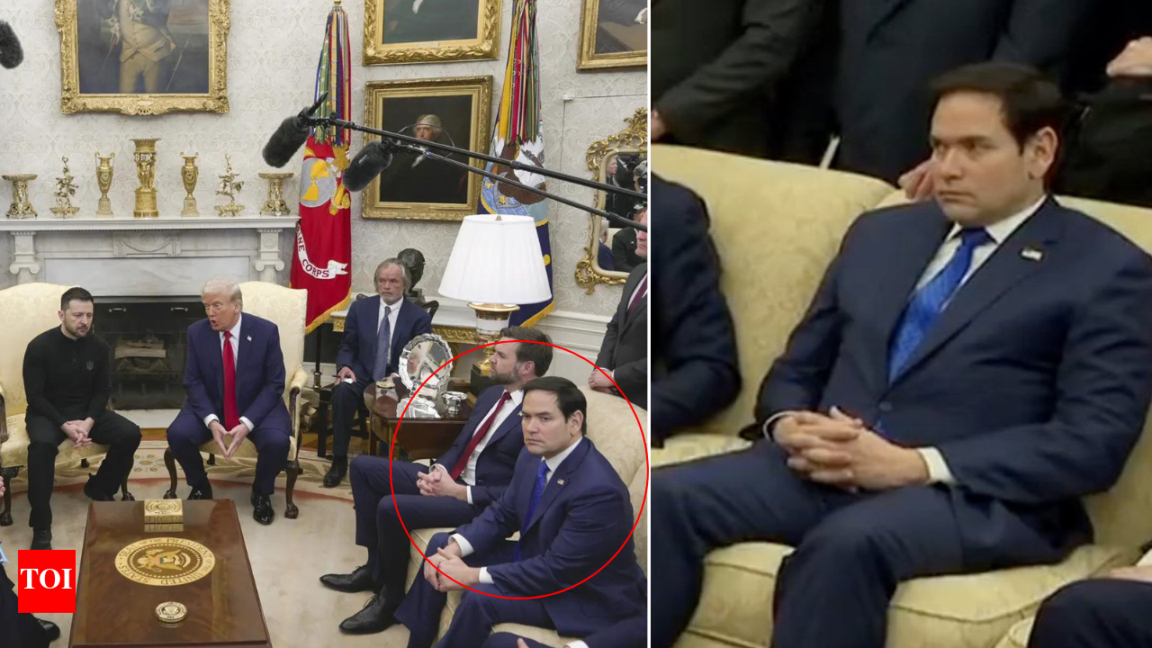 Rubio Robot Memes