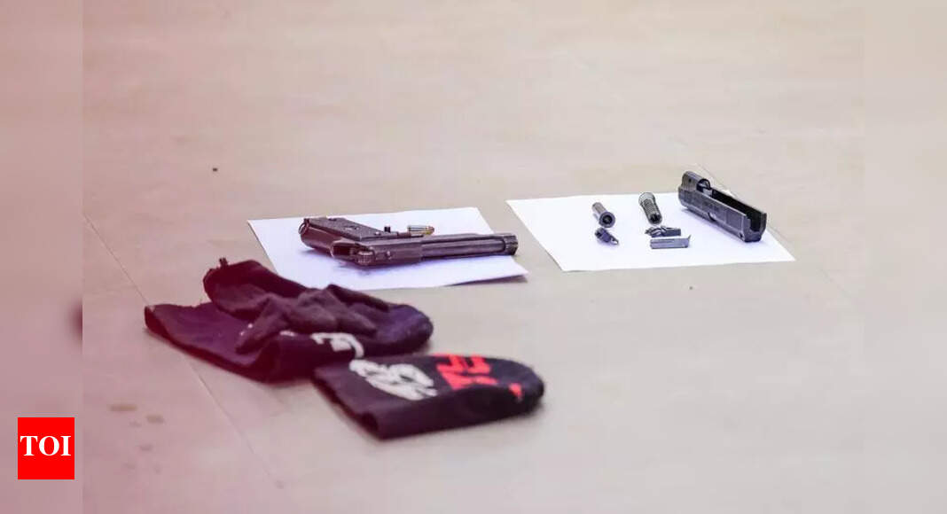 Rise in gun violence among schoolchildren raises concerns in Bihar ...