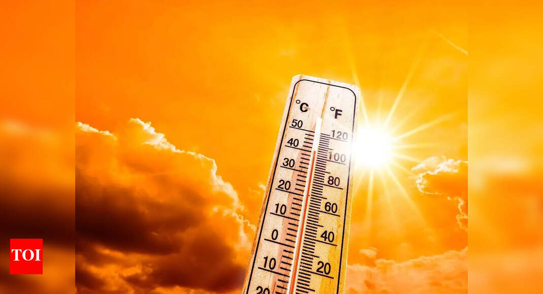 Heat alert in Karnataka: Health advisory issued as temperatures soar ...