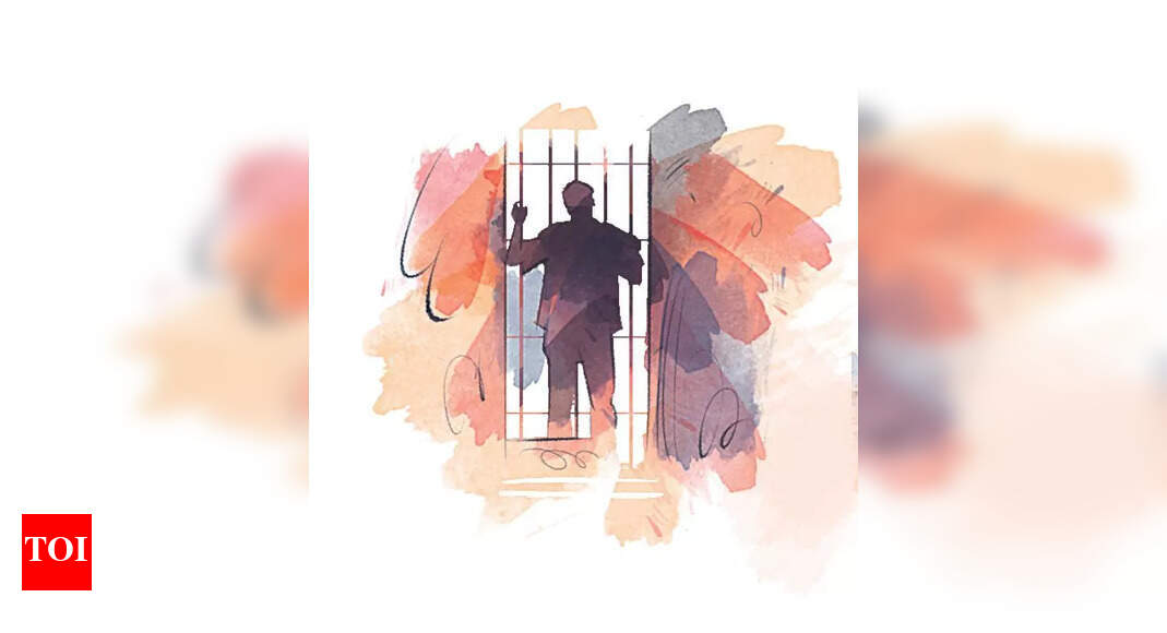 APMC police recover unlicensed firearms in Vijayapura | Hubballi News ...