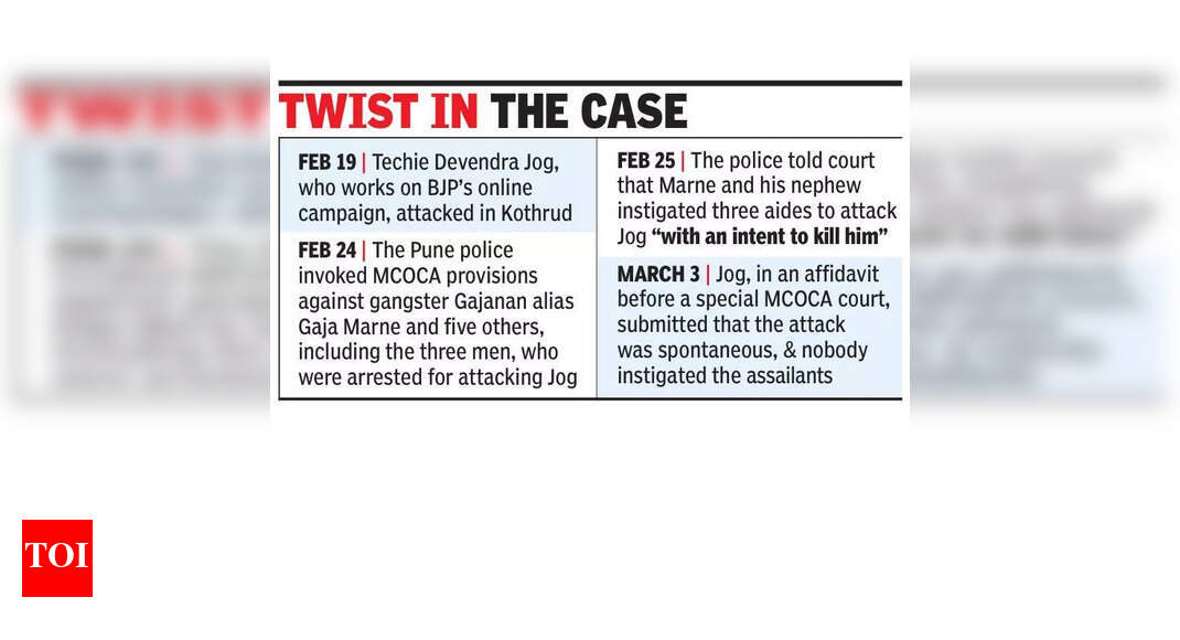 Marne MCOCA case: Techie claims attack on him was unplanned; assailants ...