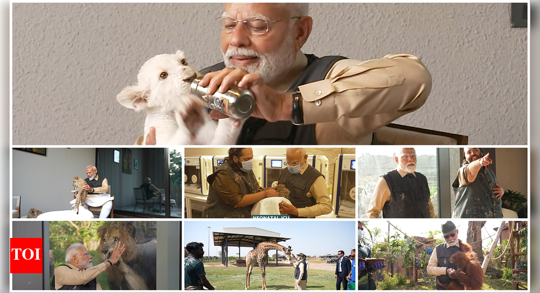 PM Modi inaugurates and visits Vantara: India’s largest haven for ...