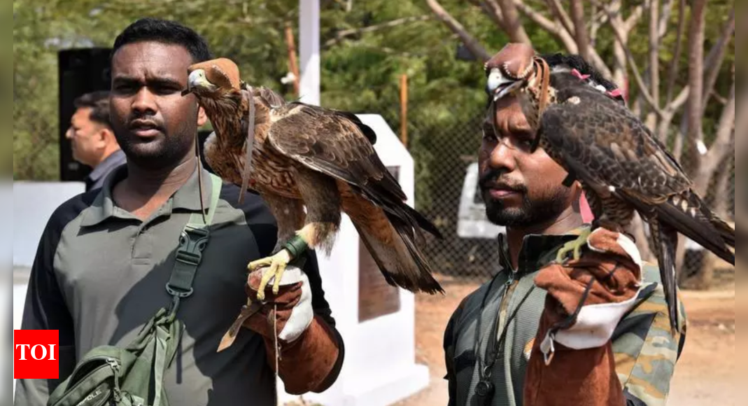 ‘Pushpa’ joins India’s only avian squad trained to hunt drones ...