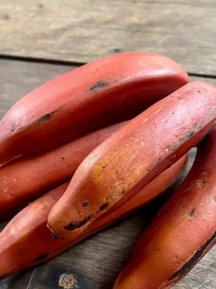 8 reasons to add red banana to the daily diet | Times of India