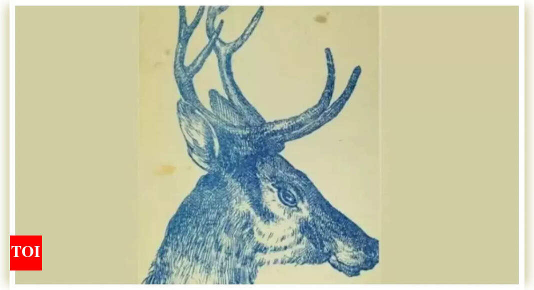 Optical illusion: Can you spot the hidden rabbit in under 10 seconds ...