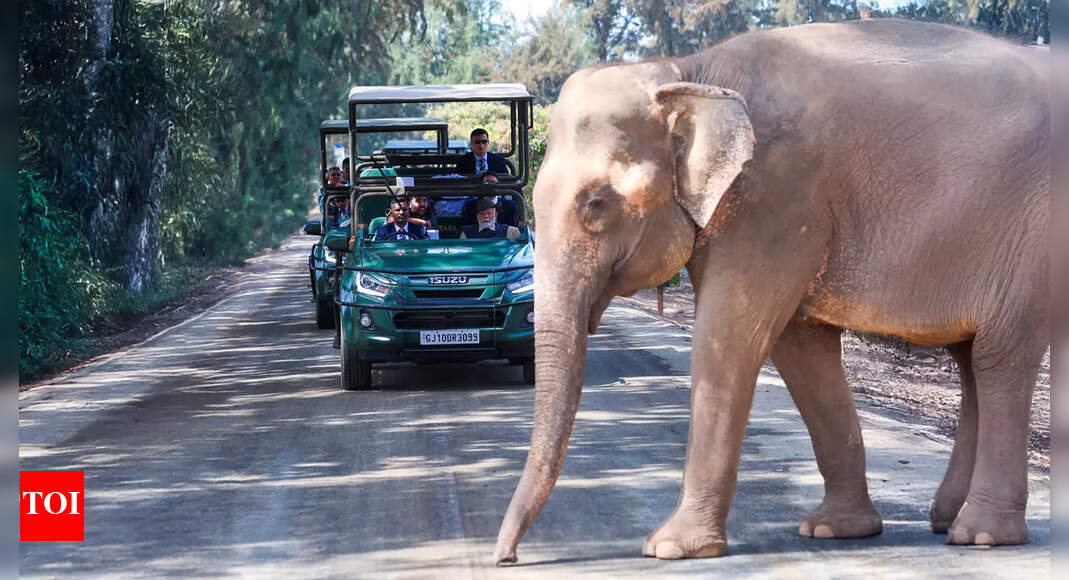 PM Modi’s unforgettable journey through Anant Ambani’s Vantara - The ...
