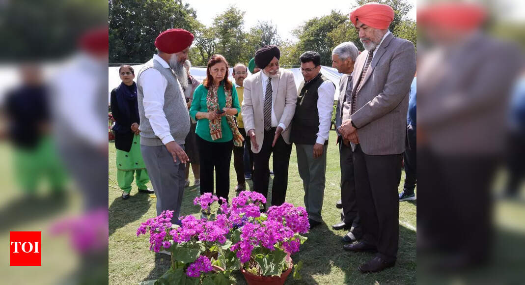 Flower show opens to eager audience in PAU | Ludhiana News - The Times ...