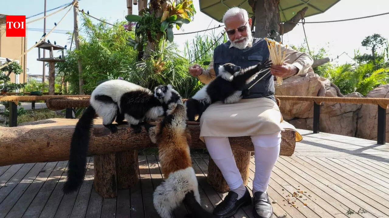 10 adorable animals that PM Narendra Modi saw during his visit to ...