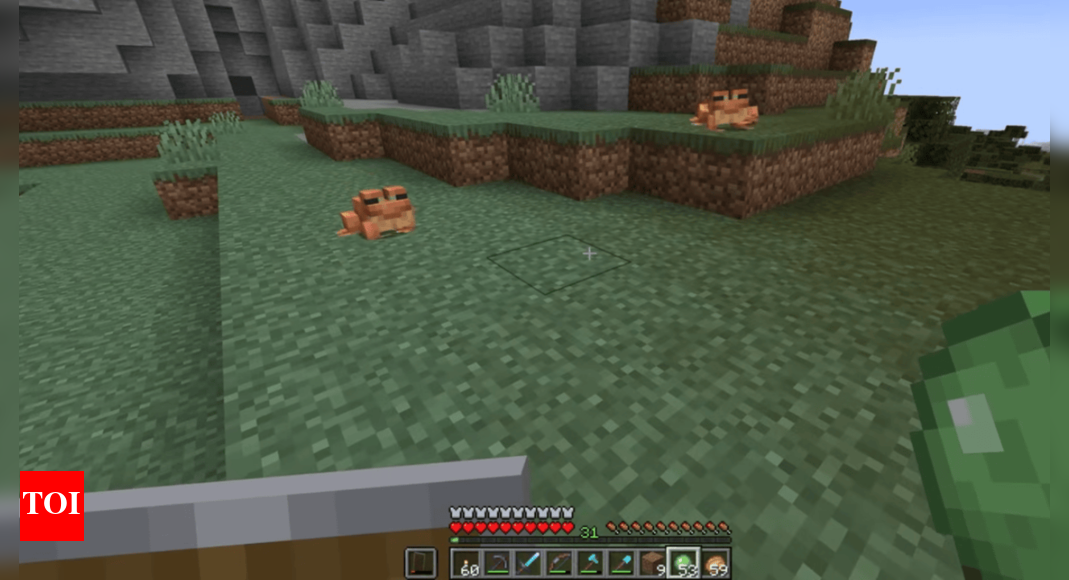 Where to find Frogs in Minecraft? | Esports News - The Times of India