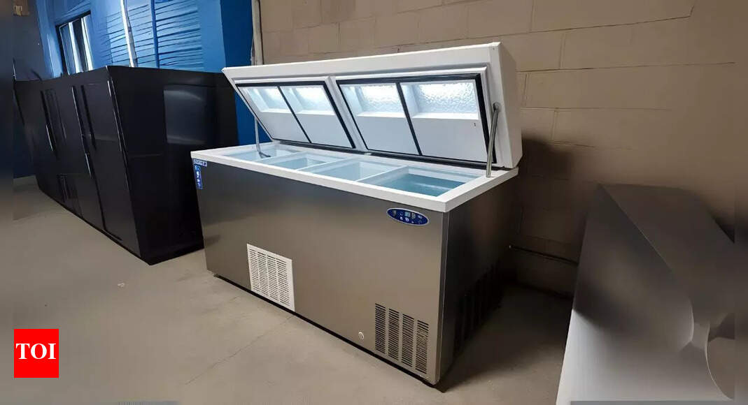 Double Door Deep Freezers: Top Picks for Spacious & Efficient Storage ...